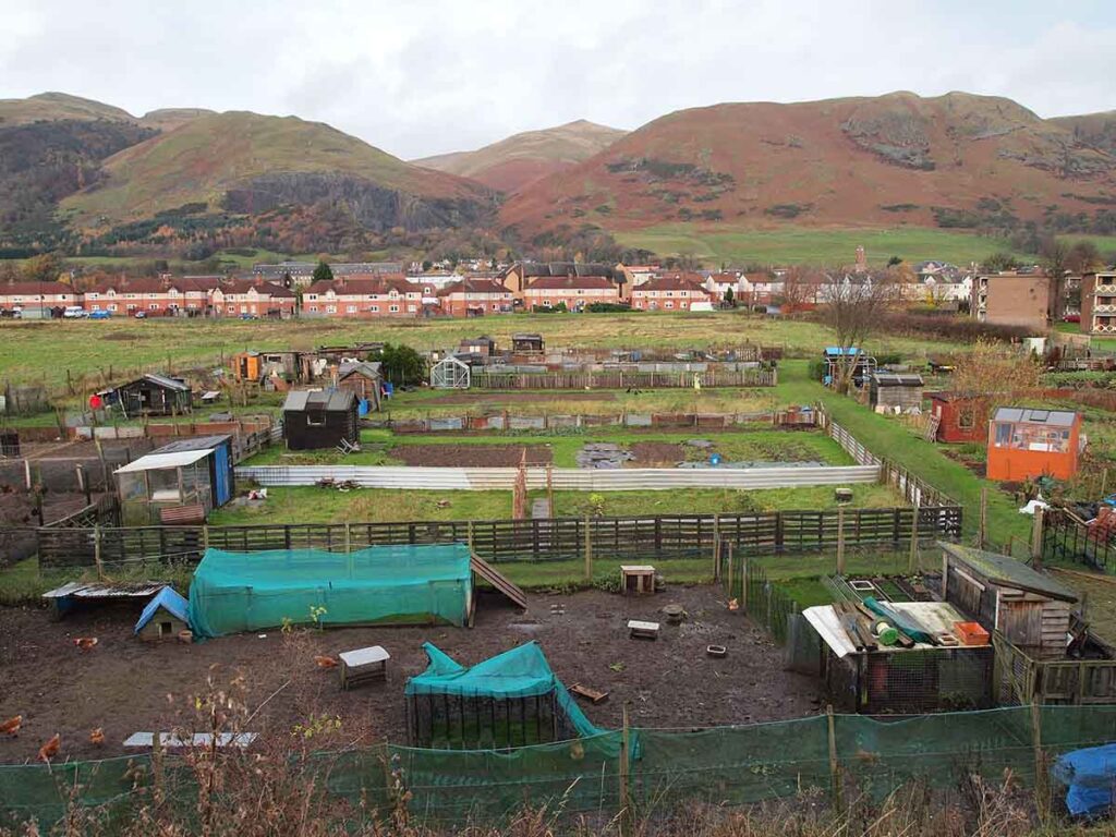Allotments Near Me: How To Find Your Perfect UK Allotment